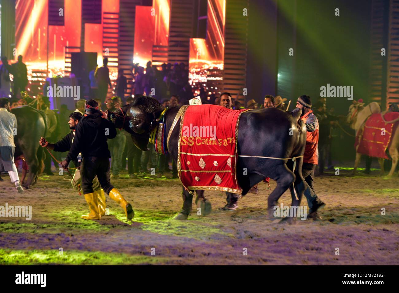 Dhaka. 6th Jan, 2023. Farmers present their buffalo at "Dhaka Cattle Expo 2023" in Bangladeshi ...