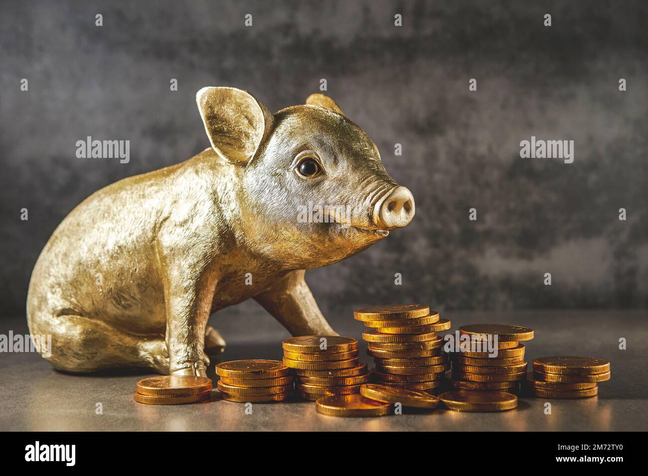 Gold piggy bank and gold coin Stock Photo - Alamy