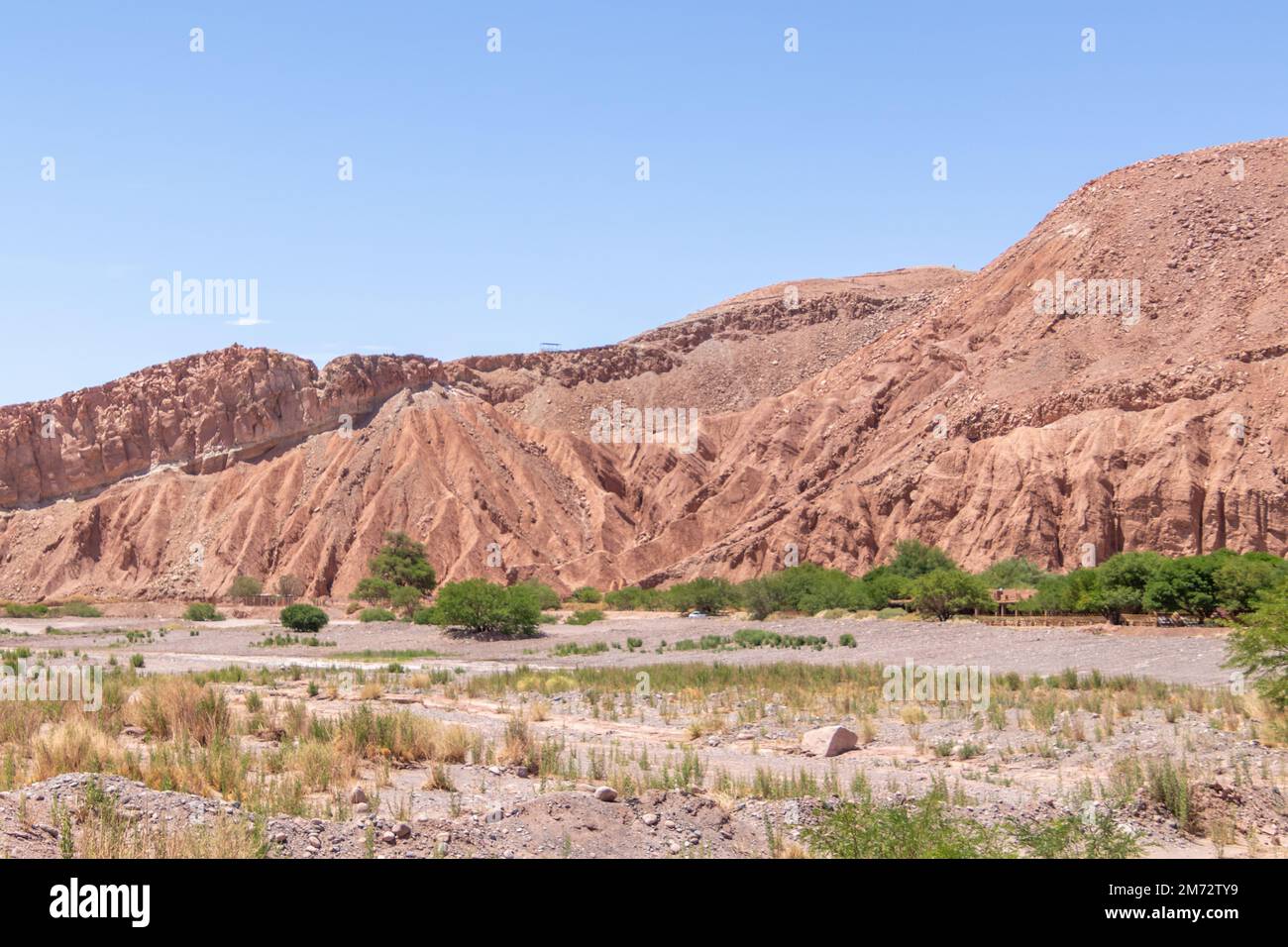 Arid landscape near Catarpe valley, the dryest part of Atacama, the ...