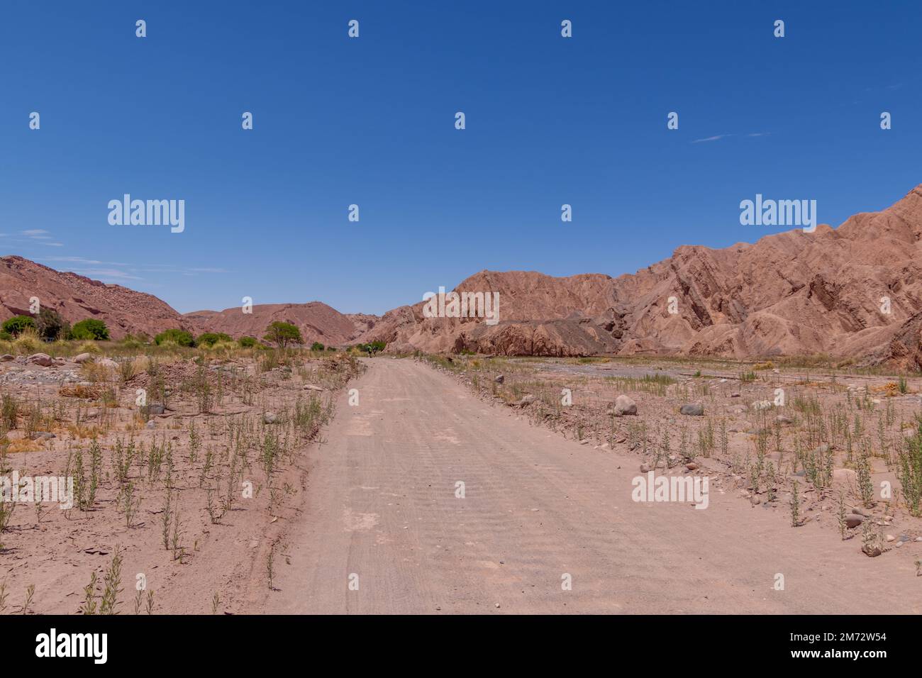 Unpaved path crossing a dry valley through Atacama, the most arid ...
