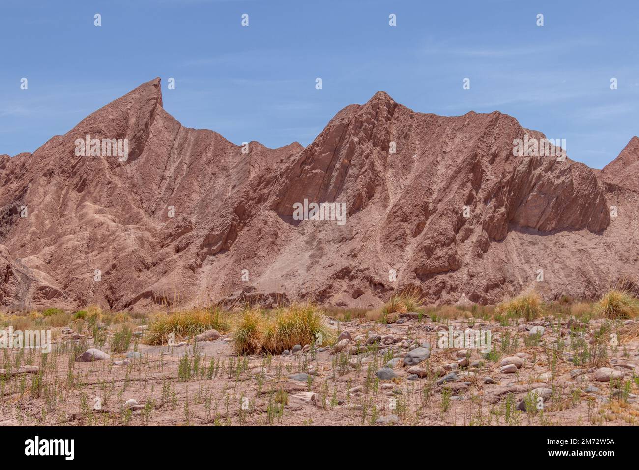 Arid landscape near Catarpe valley, the dryest part of Atacama, the ...