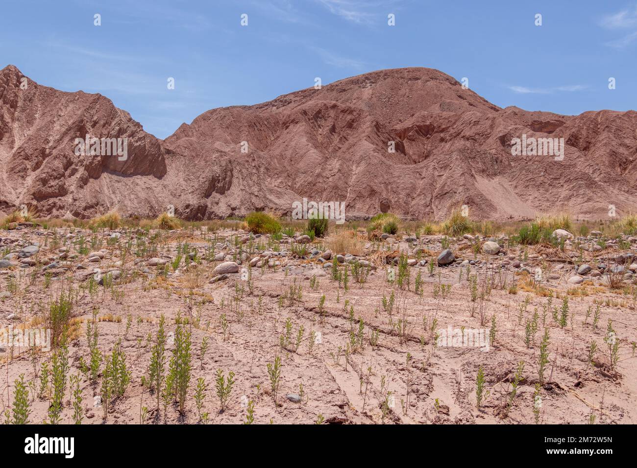 Arid landscape near Catarpe valley, the dryest part of Atacama, the ...