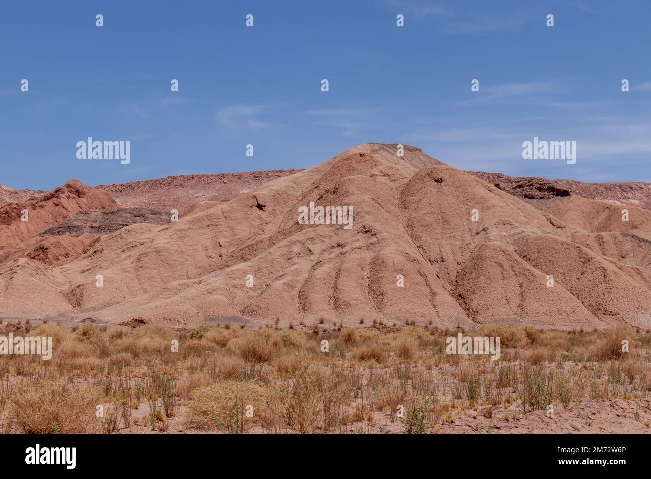 Arid landscape near Catarpe valley, the dryest part of Atacama, the ...