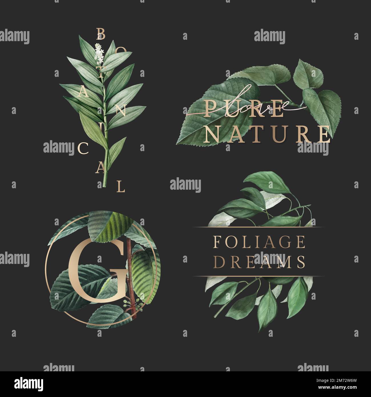 Tropical botanic logo collection vector Stock Vector Image & Art - Alamy