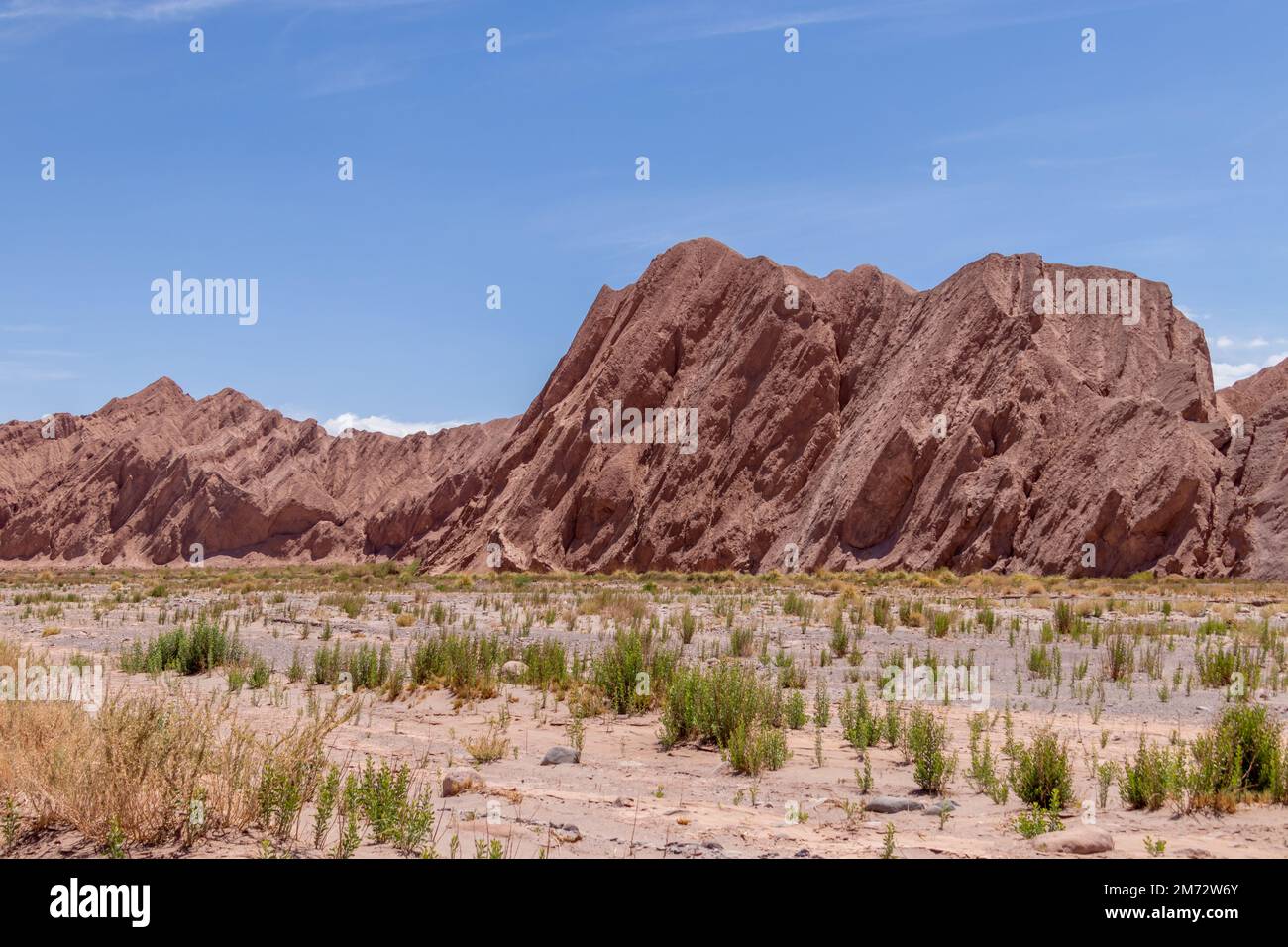Arid landscape near Catarpe valley, the dryest part of Atacama, the ...
