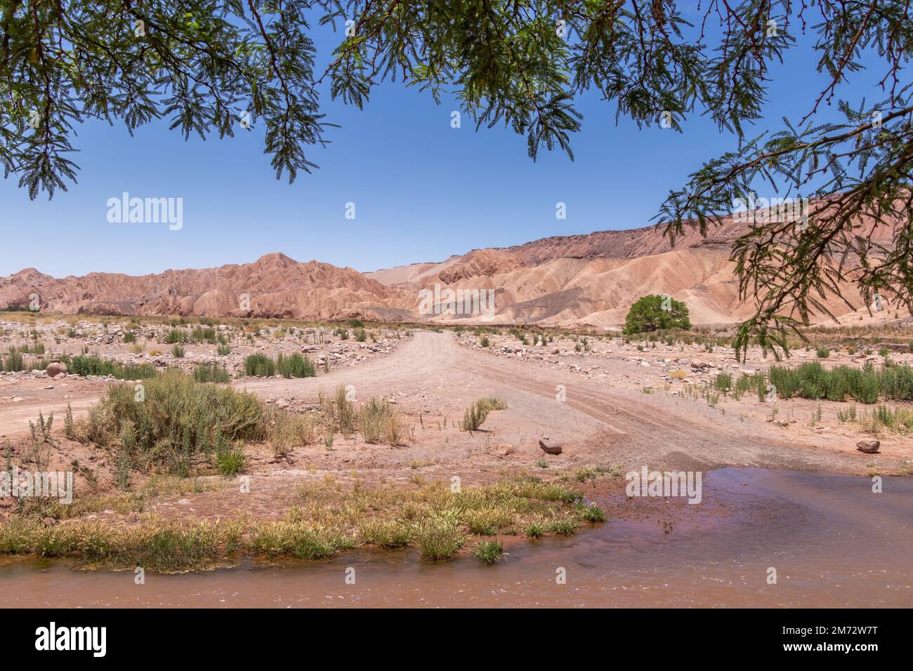 River breaking the arid landscape near Catarpe valley, the dryest part ...