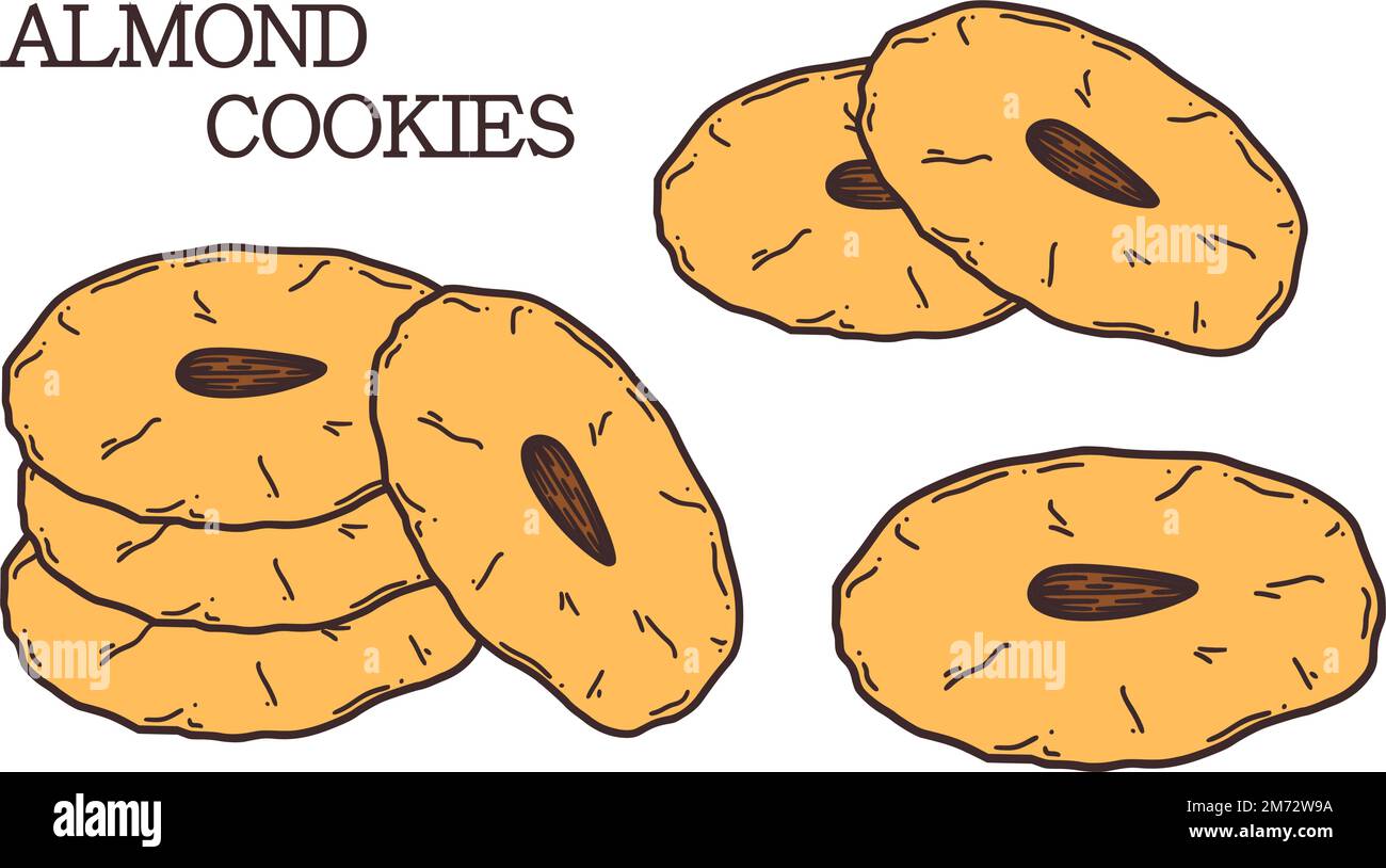 Chinese almond cookies vector illustration. Chinese New year dessert ...