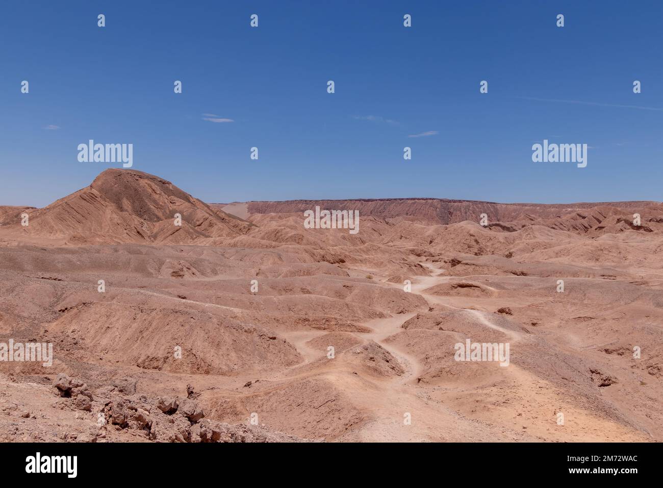 Arid Catarpe valley in Atacama, the most arid desert of the world in ...