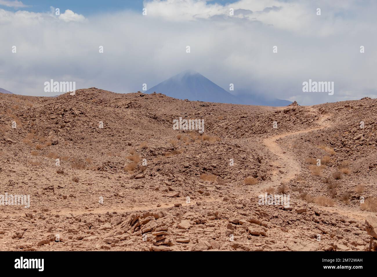 Arid Catarpe valley in Atacama, the most arid desert of the world in ...