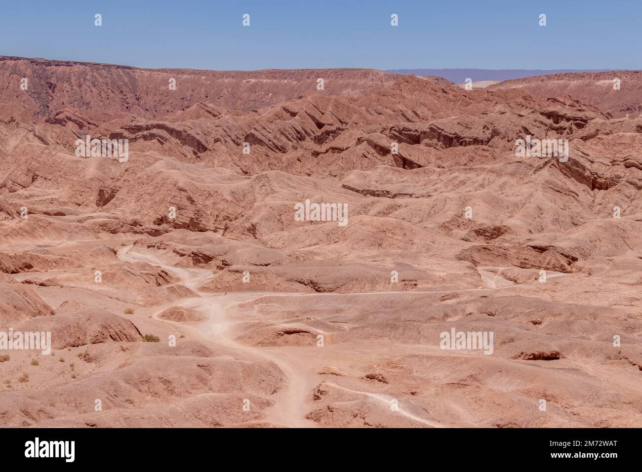 Arid Catarpe valley in Atacama, the most arid desert of the world in ...