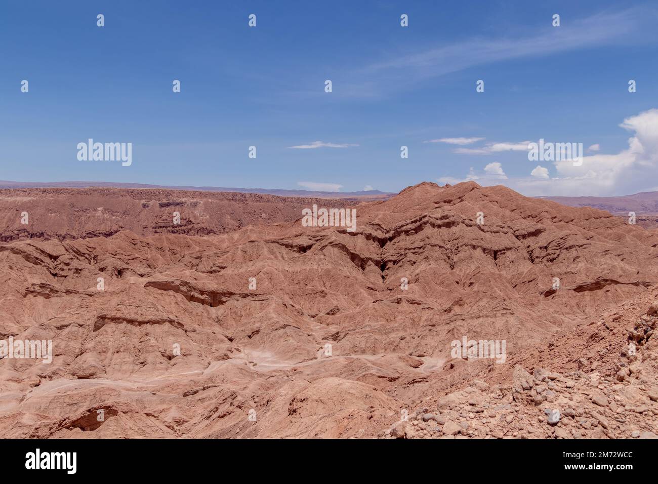 Arid landscape near Catarpe valley, the dryest part of Atacama, the ...