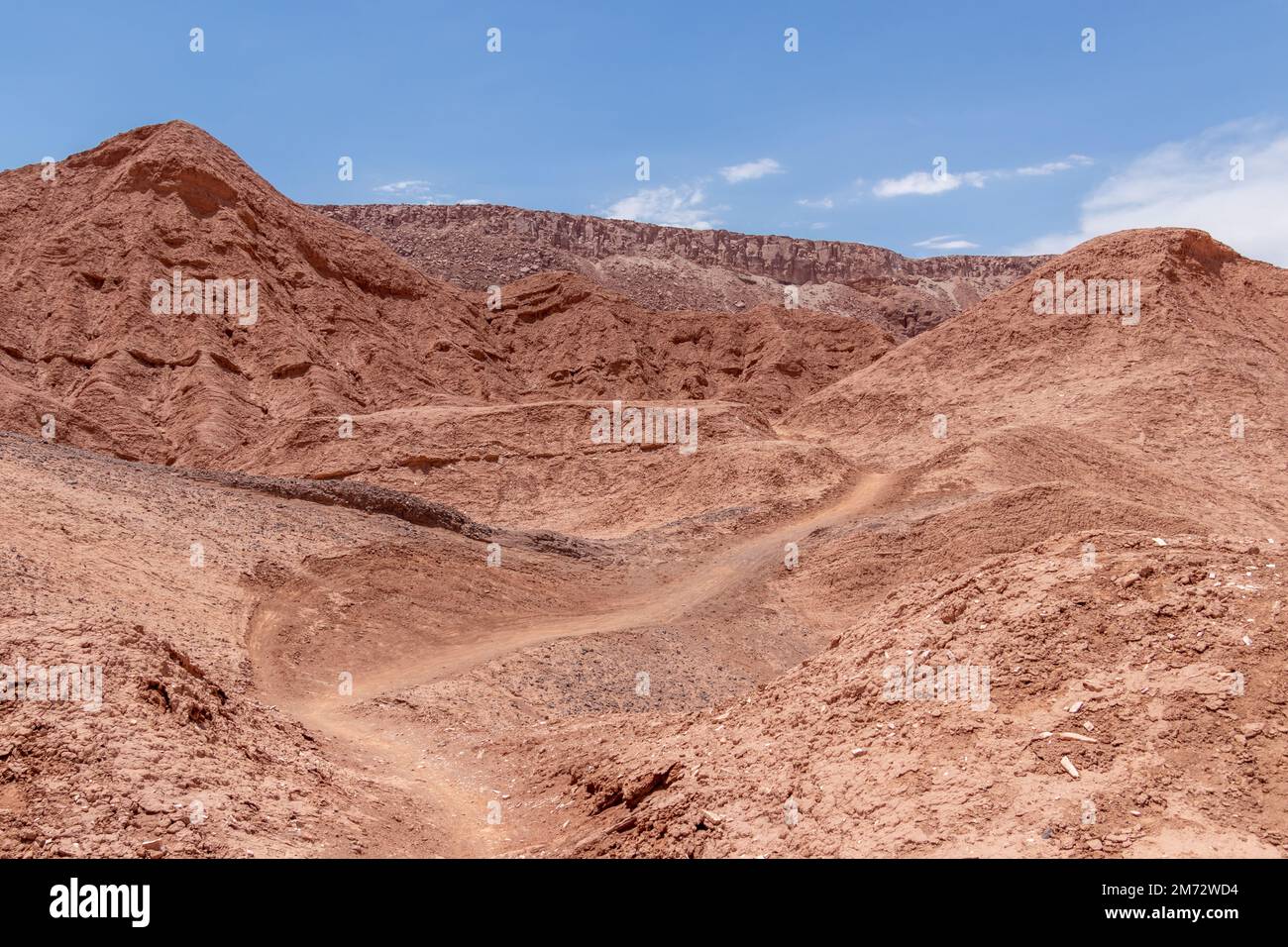 Arid landscape near Catarpe valley, the dryest part of Atacama, the ...