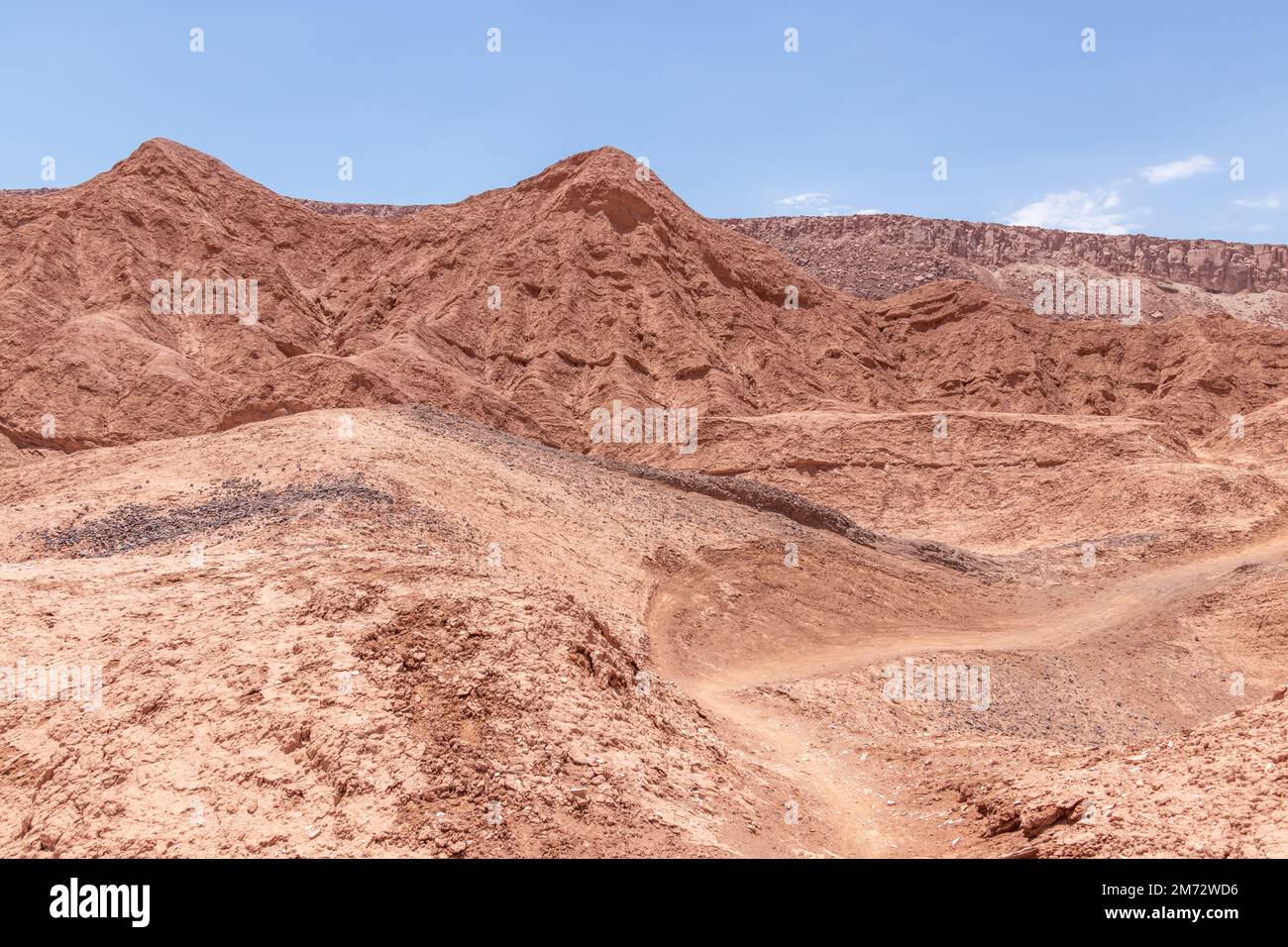 Arid landscape near Catarpe valley, the dryest part of Atacama, the ...