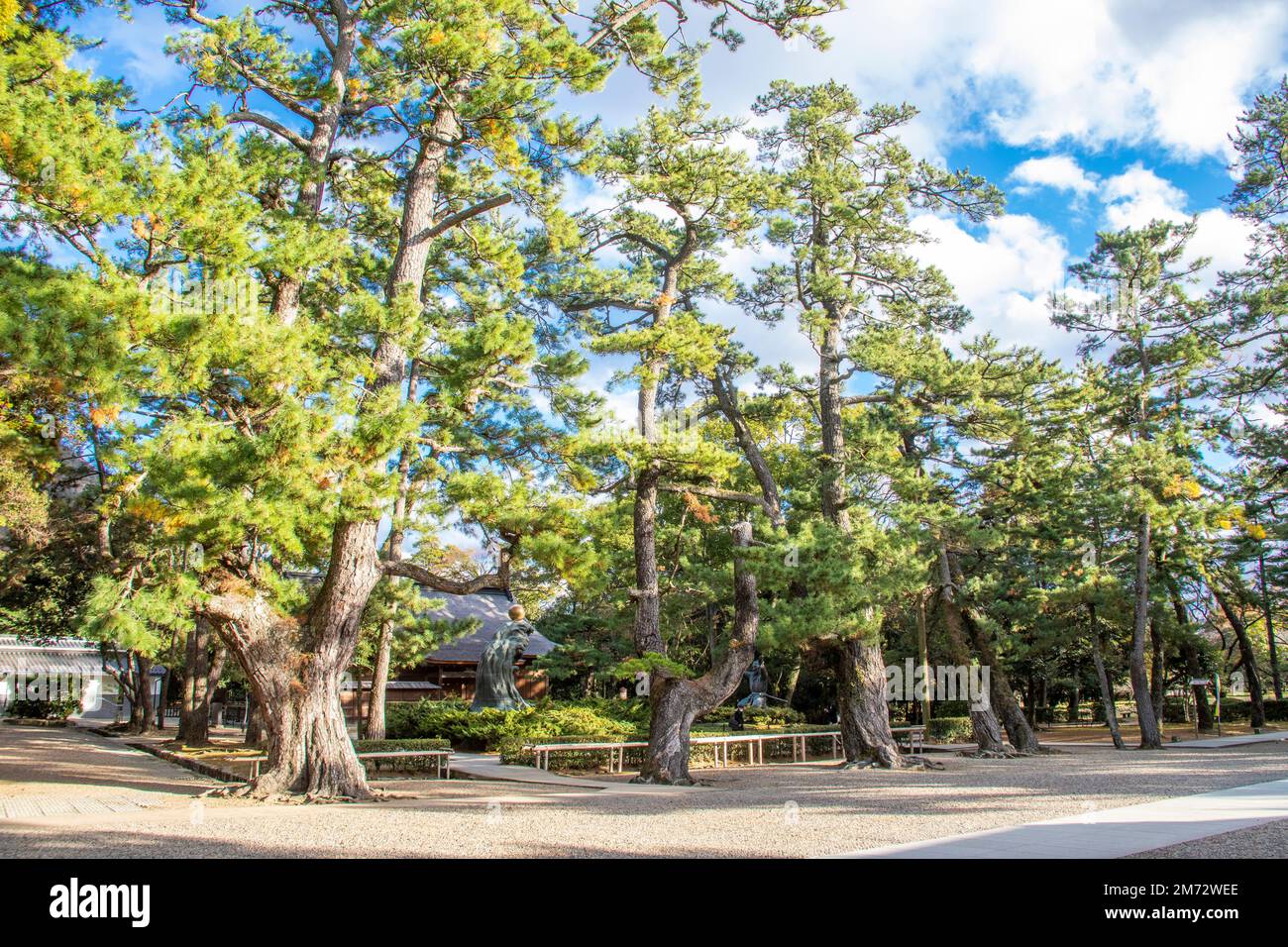 the autumn view of Garden in Shrine Izumo-taisha in Izumo, Shimane Prefecture, one of the most ...
