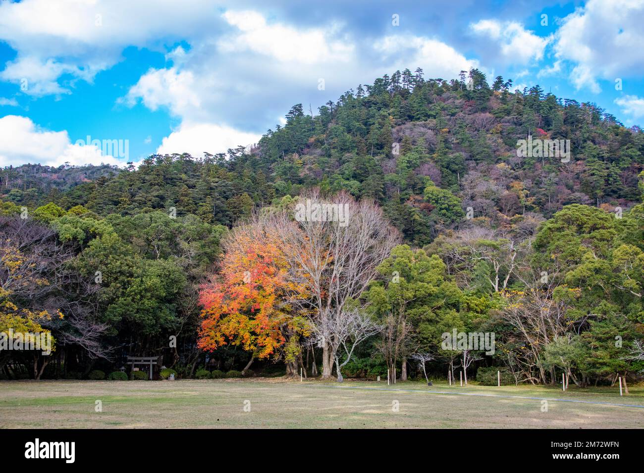 Izumo oyashiro hi-res stock photography and images - Alamy