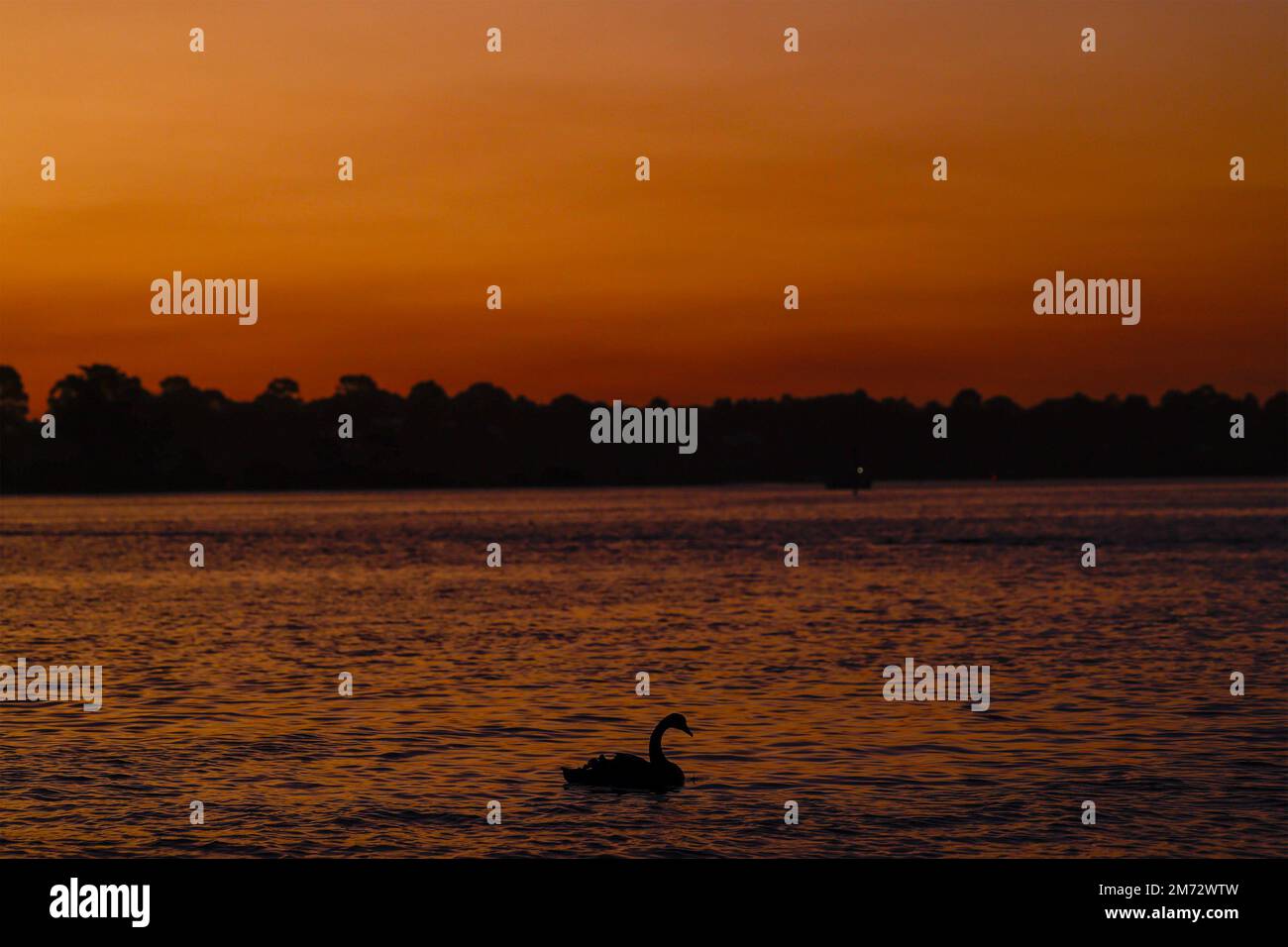 Sunset sky over Gippsland Lakes in Paynesville, Victoria, Australia ...