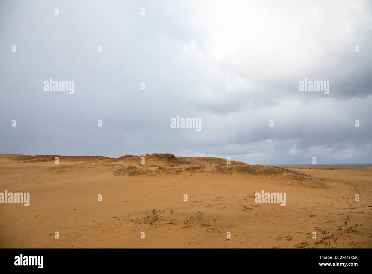 Tottori Sand Dunes are sand dunes located outside the city center of ...