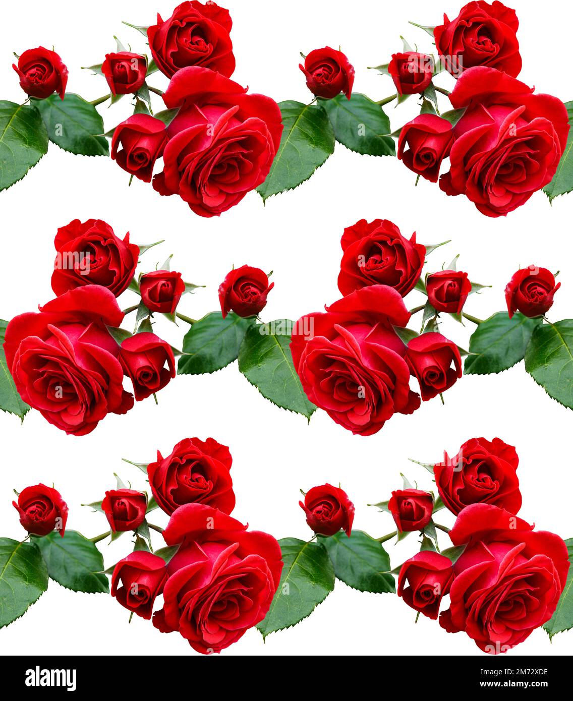 red roses,seamless composition element,floral frame design,banner ...
