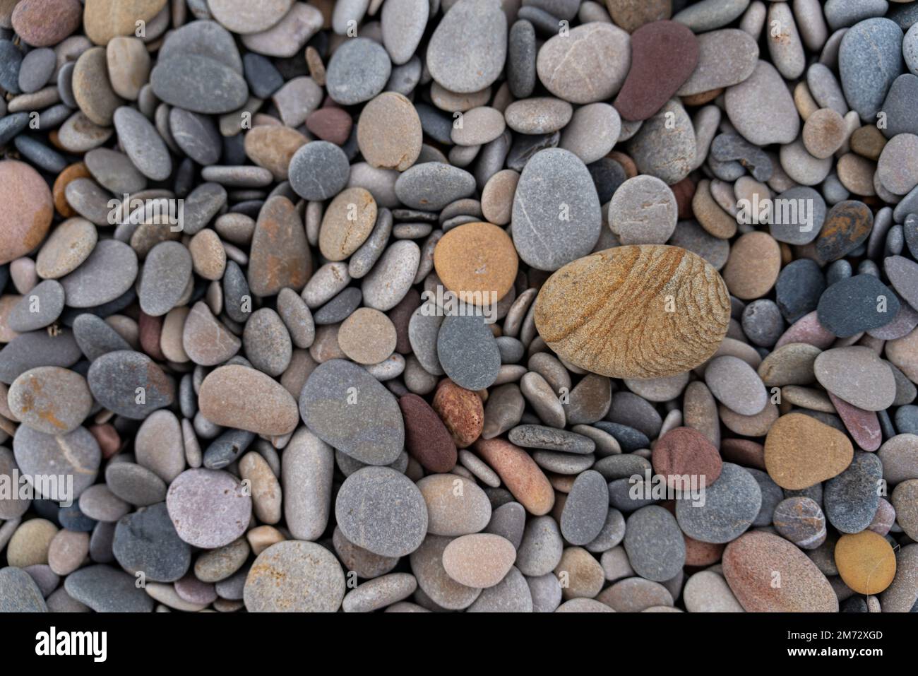 Heap different pebble stones hi-res stock photography and images - Alamy