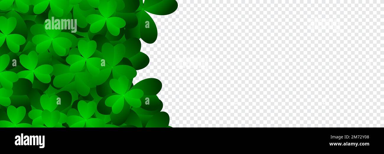 White banner with shamrock leaves. Realistic green clovers. Horizontal ...