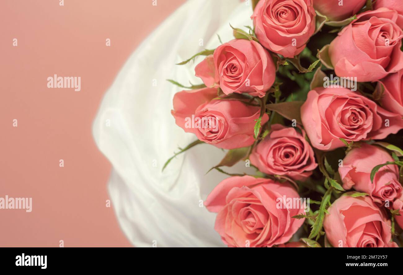 A bouquet of pink roses on a delicate white-pink background. macro ...