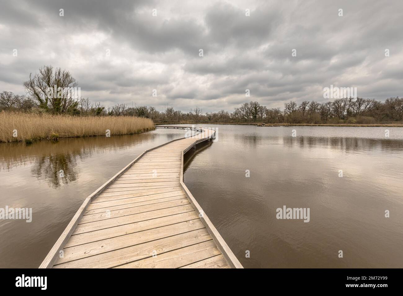 Wetland Boardwalk over lake in early spring in Natere reserve La Brenne ...
