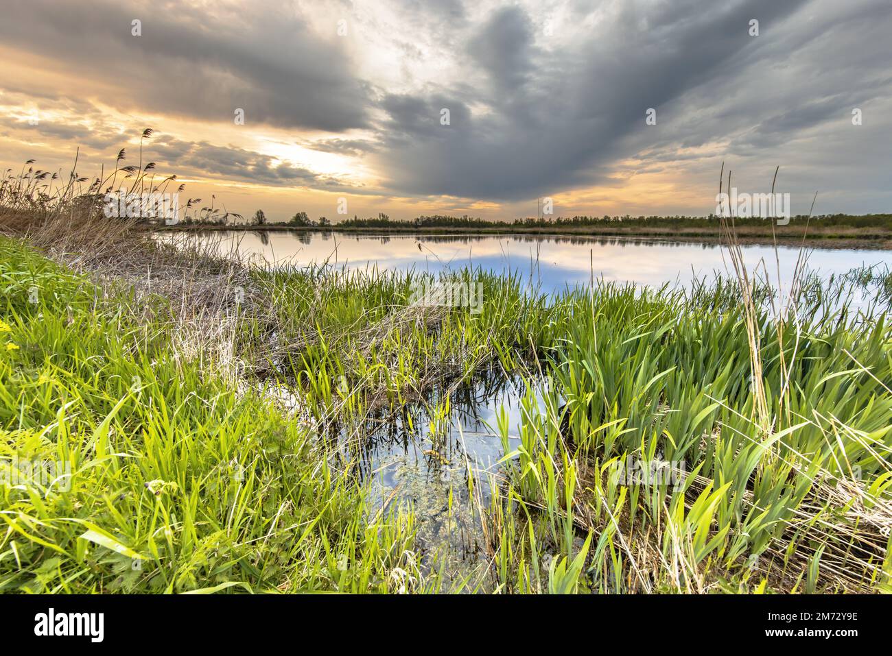 Wetland landscape hi-res stock photography and images - Alamy