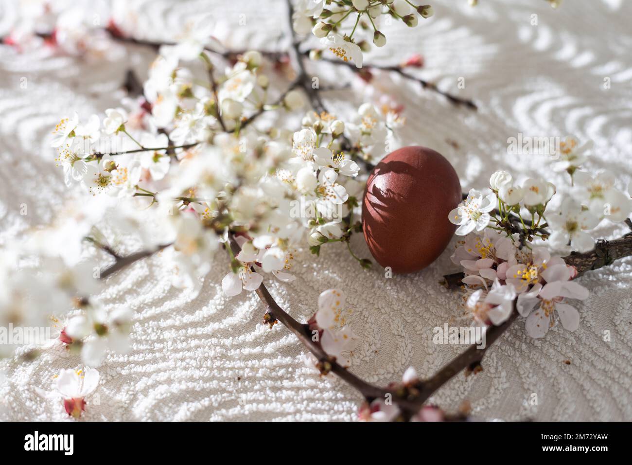 Colorful Easter eggs with spring blossom flowers. Colored Egg Holiday ...