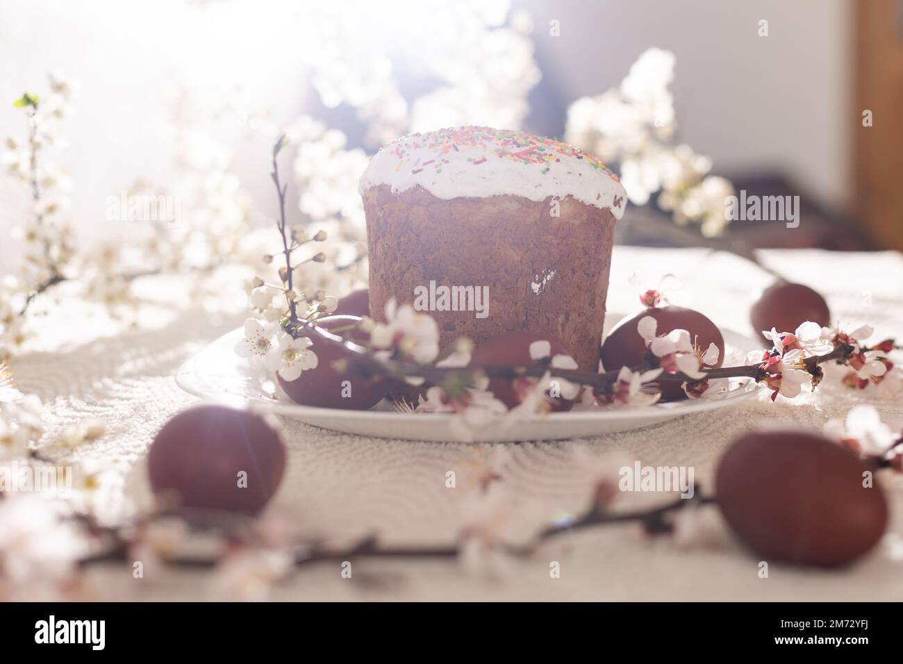 Easter background with colored eggs, colored easter eggs and blooming ...