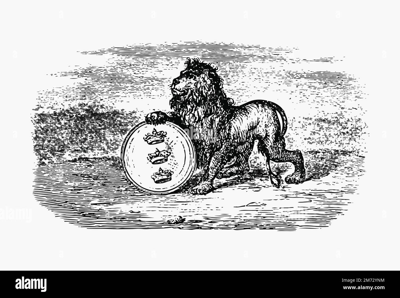 Lion animal illustration vector Stock Vector Image & Art - Alamy