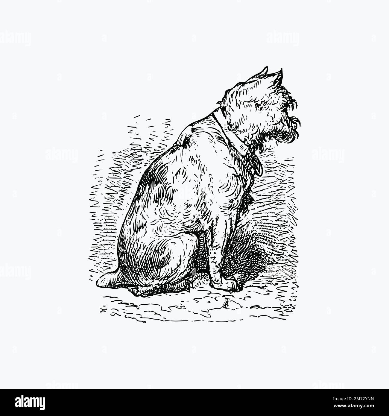 Sitting dog illustration vector Stock Vector Image & Art - Alamy