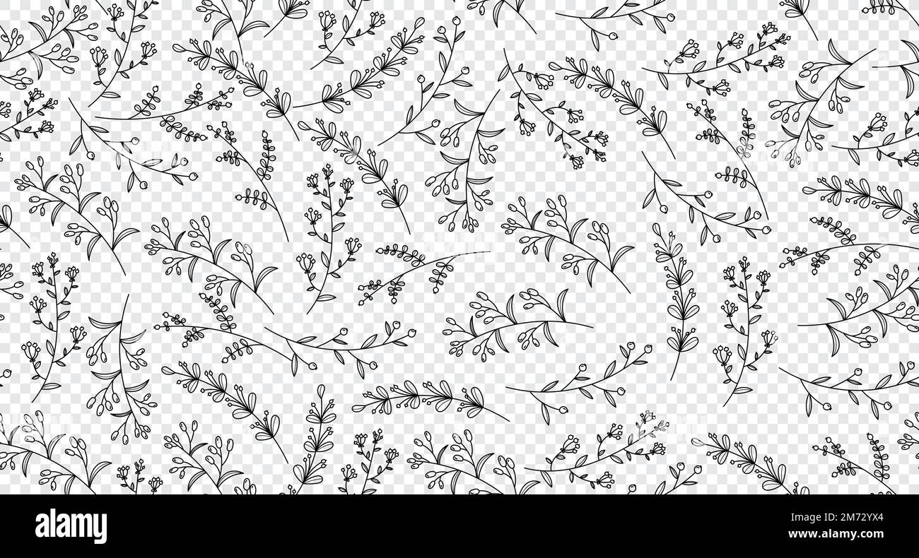 Elegant seamless pattern with plants and herbs. Leaves seamless pattern ...