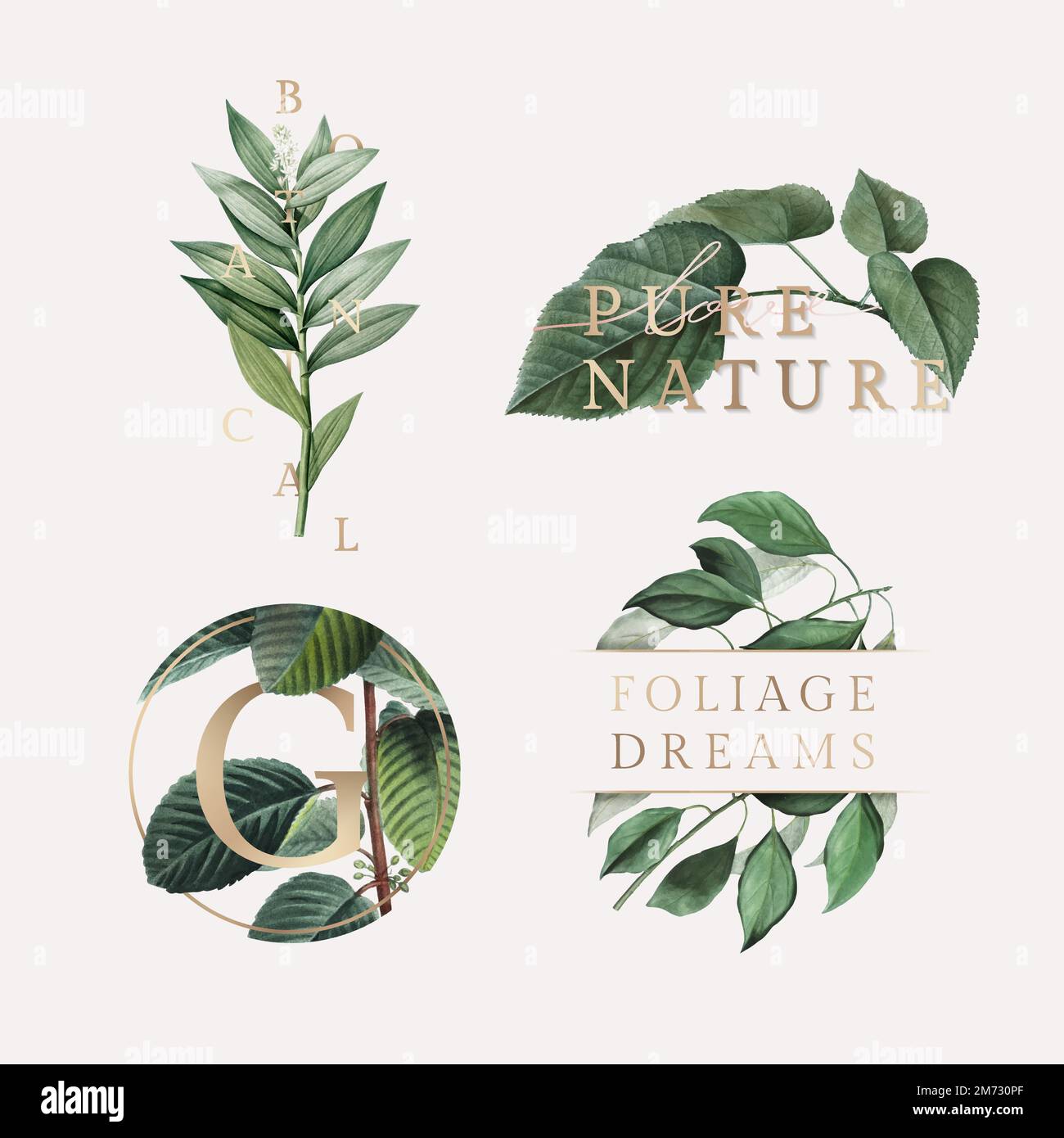 Tropical botanic logo collection vector Stock Vector Image & Art - Alamy