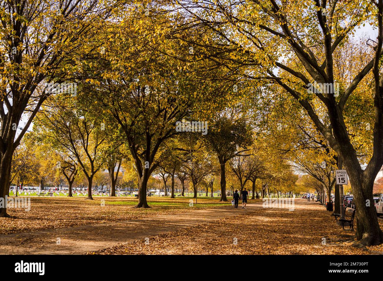 Autumn colours in the National Mall landscaped park, Washington, D.C ...