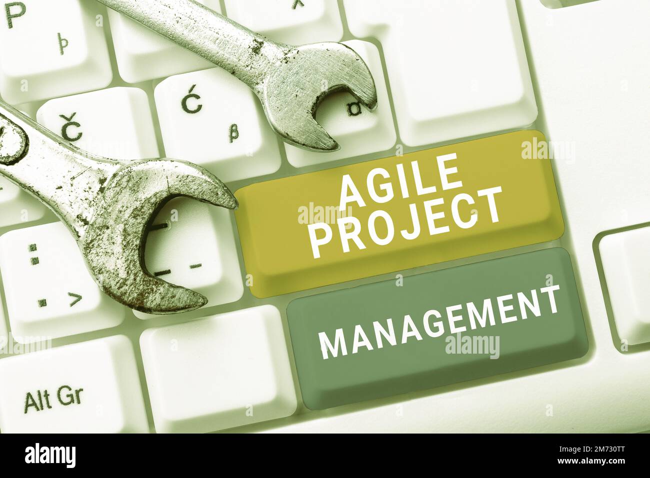 Text caption presenting Agile Project Management. Business overview ...