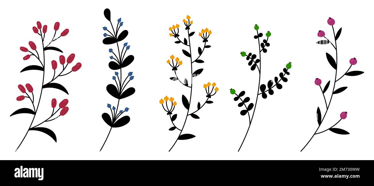 Set of vector plants and herbs. Hand drawn floral elements. Silhouettes ...