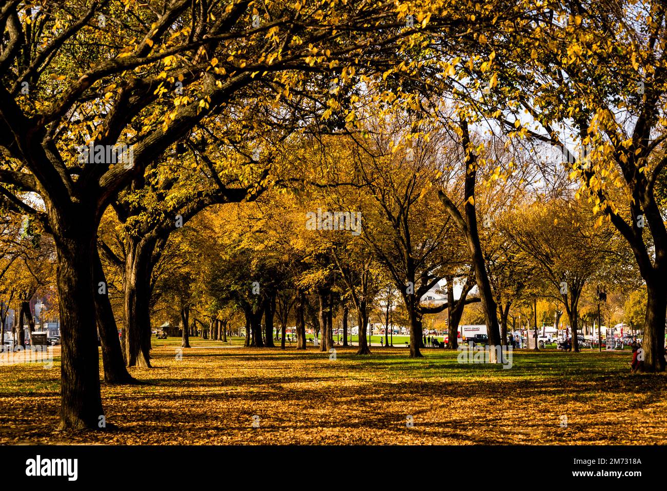 Autumn colours in the National Mall landscaped park, Washington, D.C ...