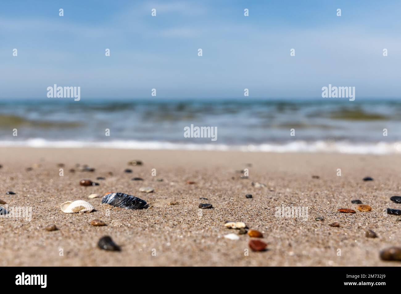 Strand von muscheln hi-res stock photography and images - Alamy