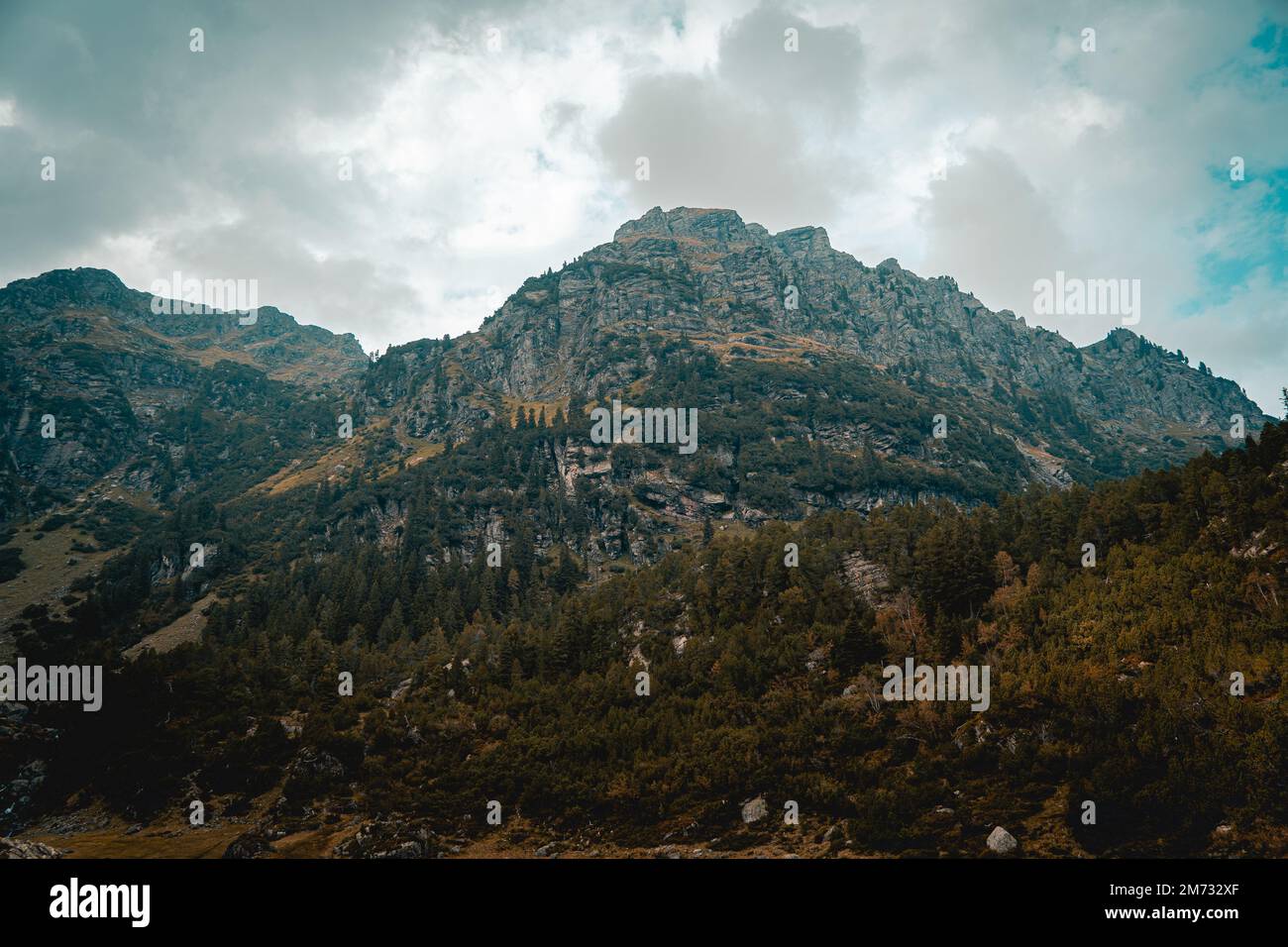 A scenic shot of forest and mountains Stock Photo - Alamy