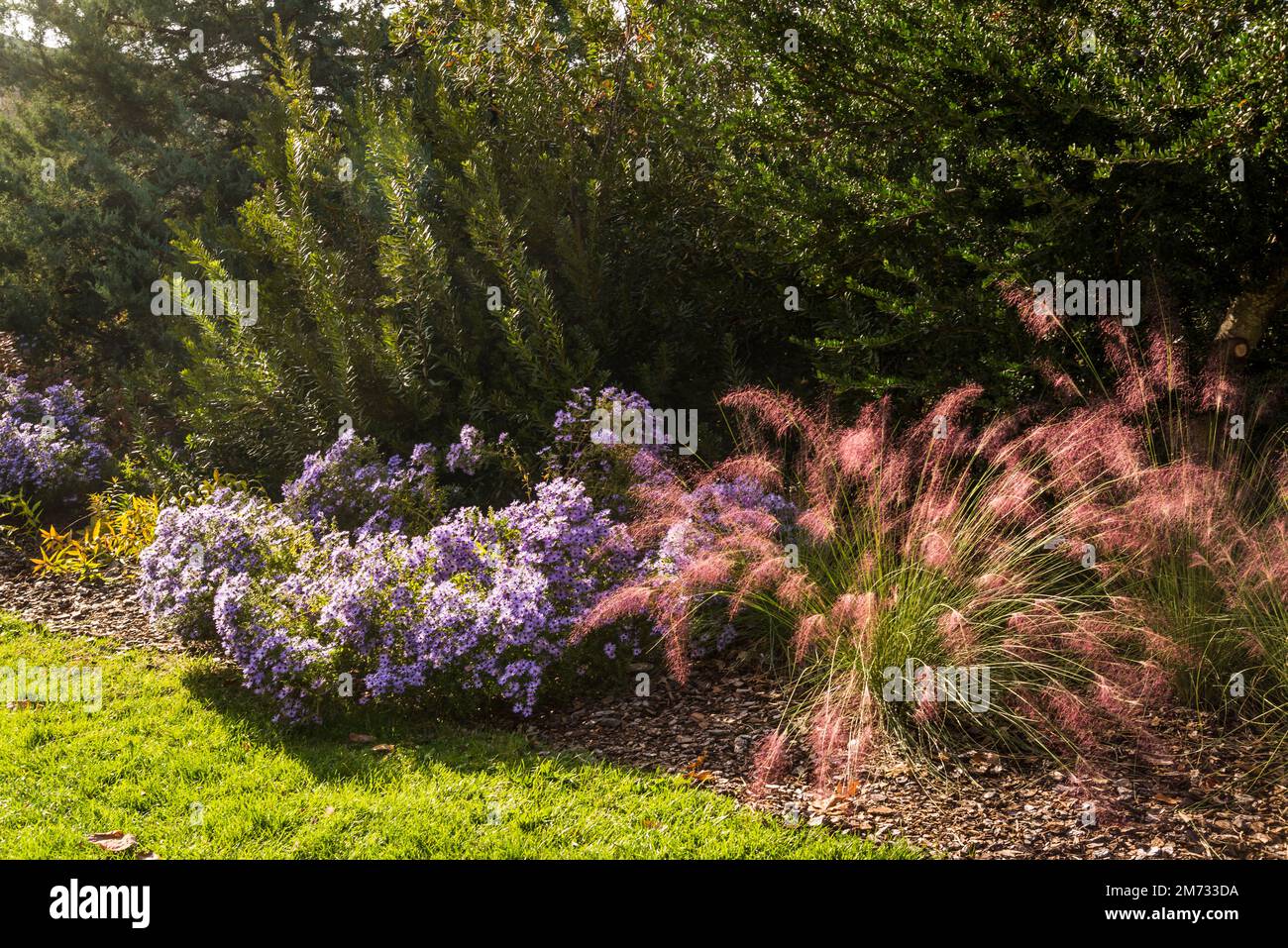 Washington dc us botanic garden hi-res stock photography and images - Alamy