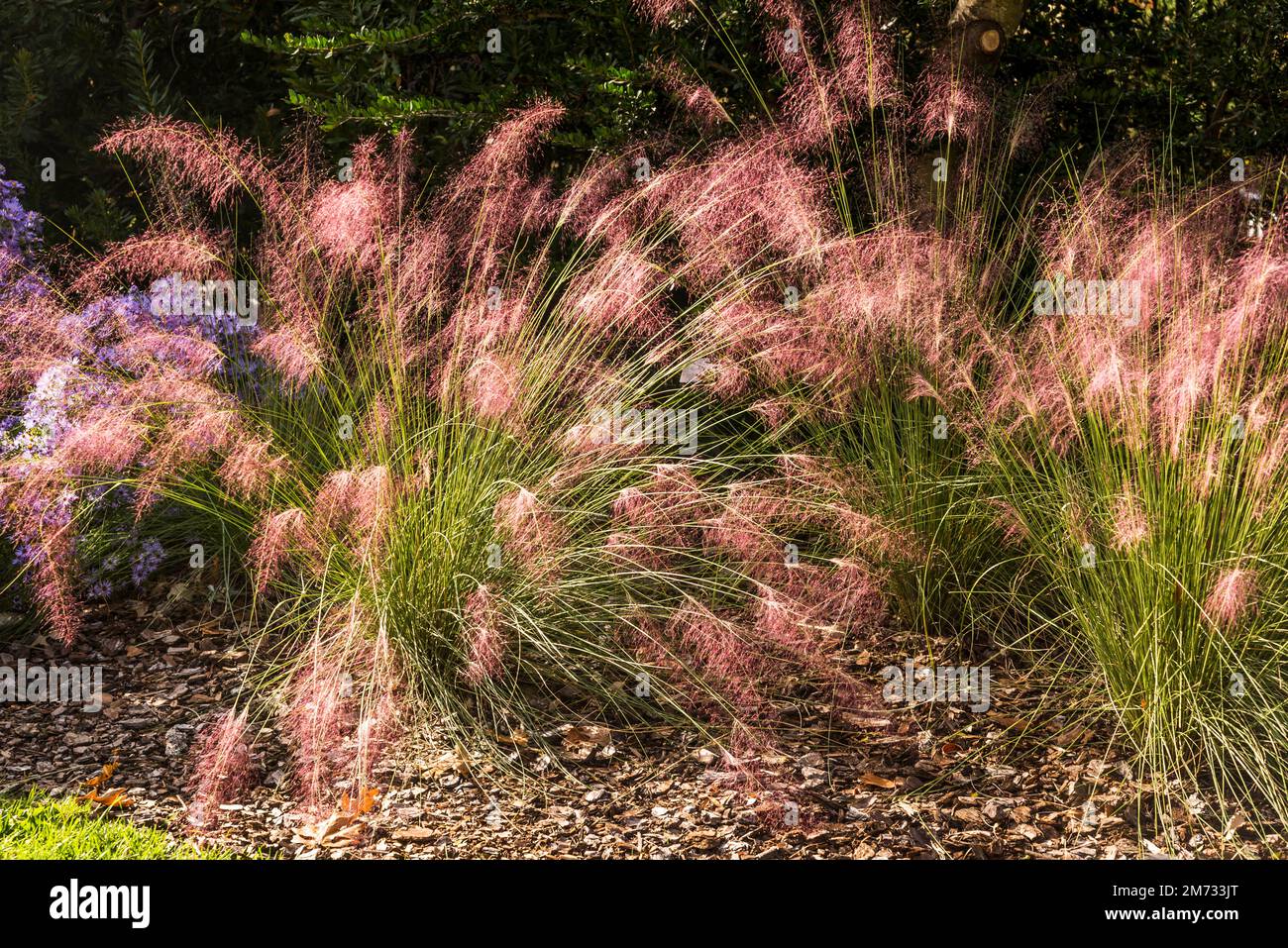 Washington dc us botanic garden hi-res stock photography and images - Alamy