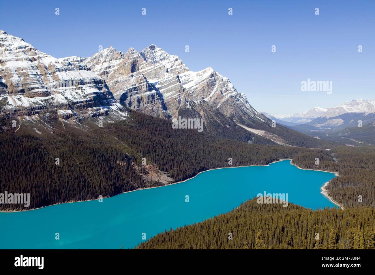 Peyto Lake is a glacier-fed lake in Banff National Park in the Canadian ...