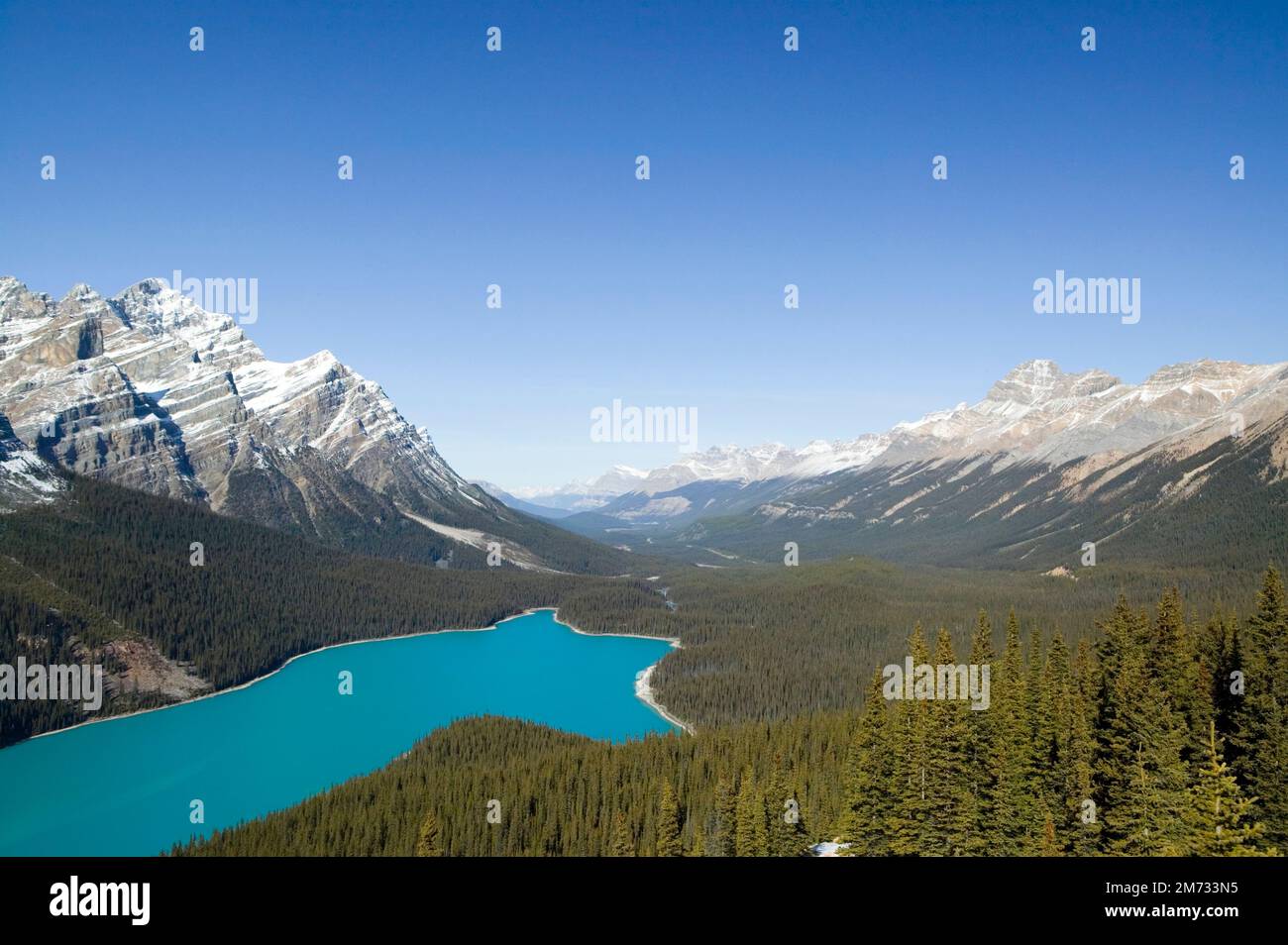 Peyto Lake is a glacier-fed lake in Banff National Park in the Canadian ...