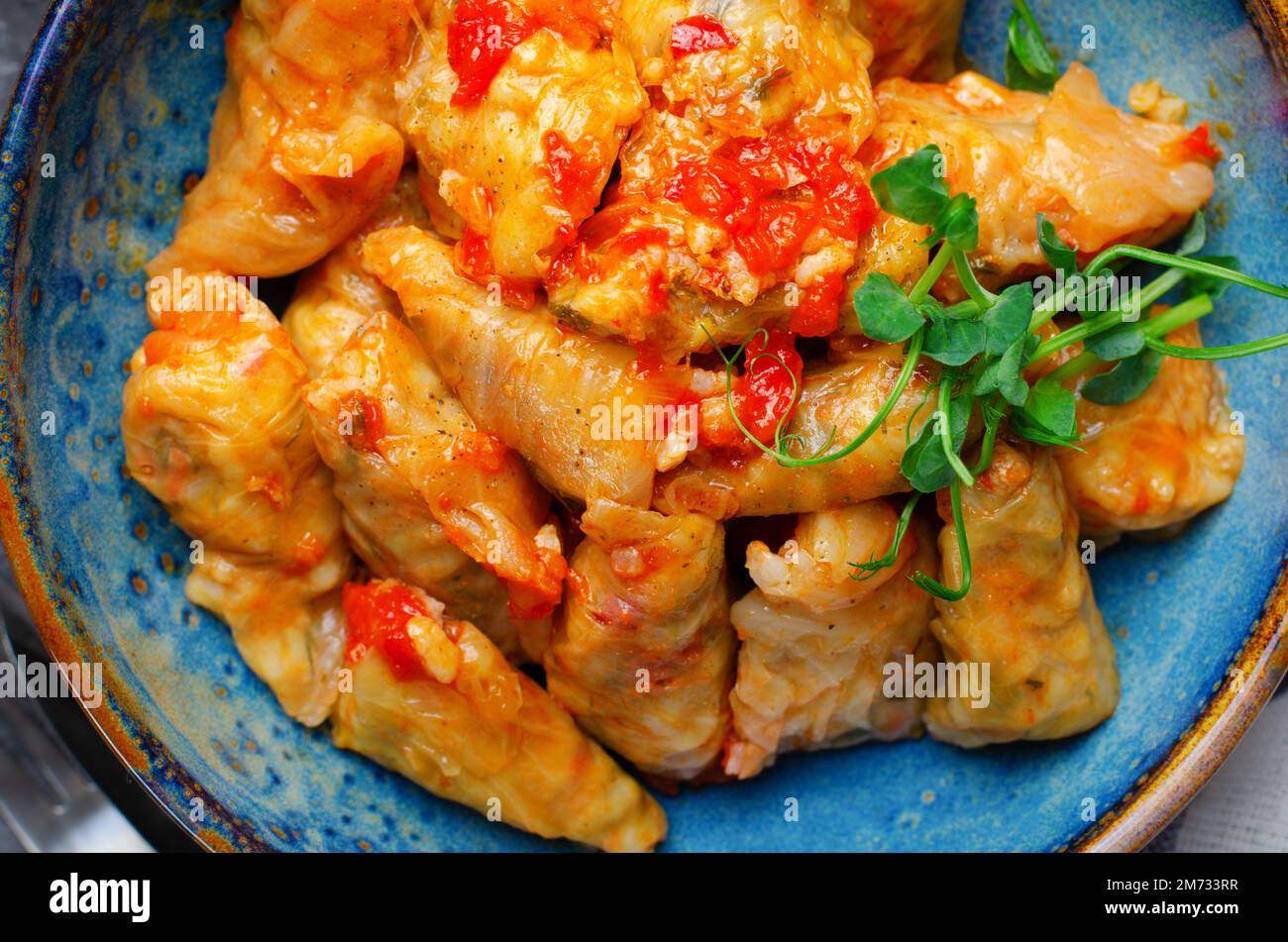 Homemade Cabbage rolls with meat, rice and vegetables. Stuffed cabbage ...