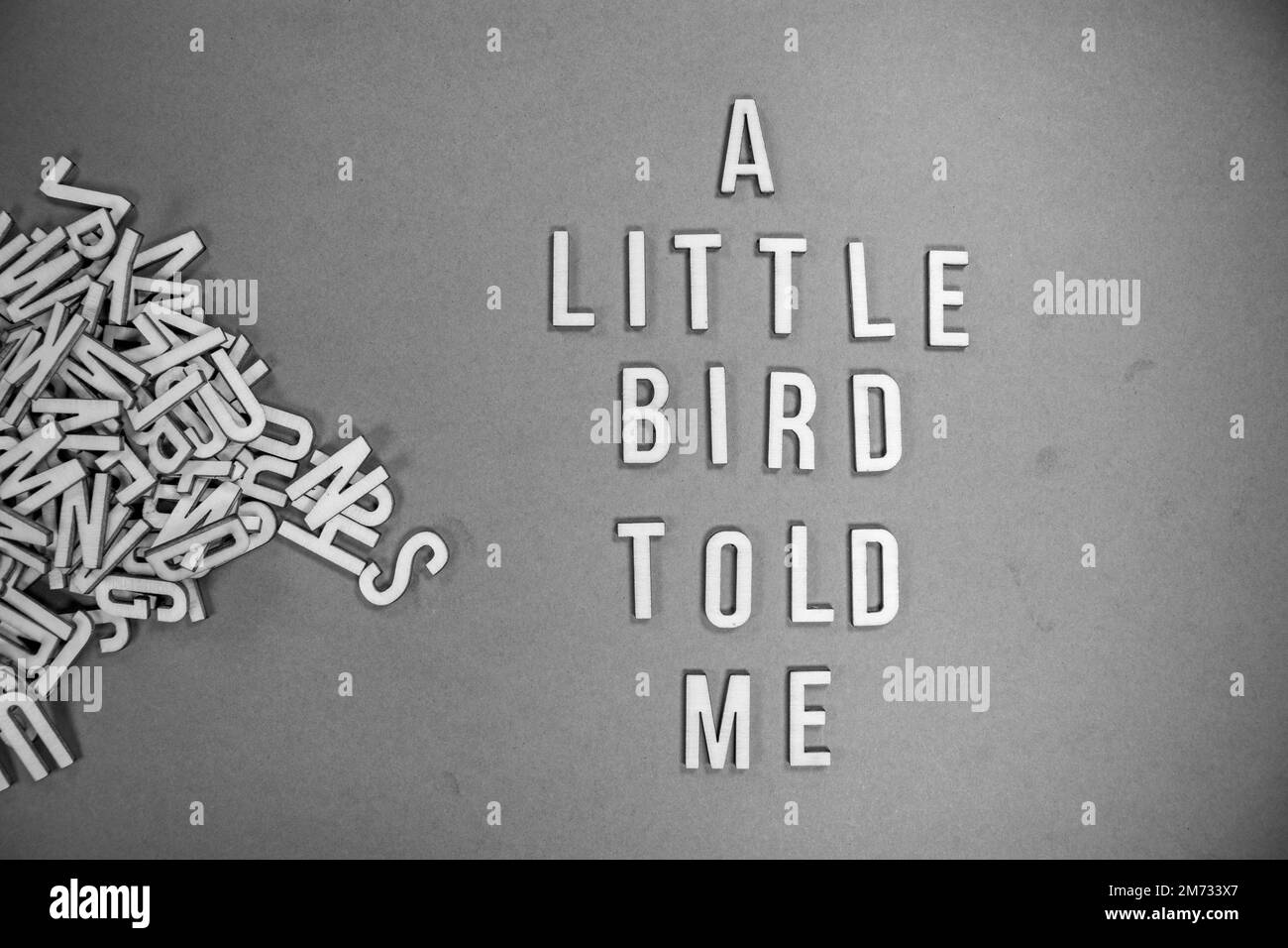 A LITTLE BIRD TOLD ME in wooden English language capital letters ...