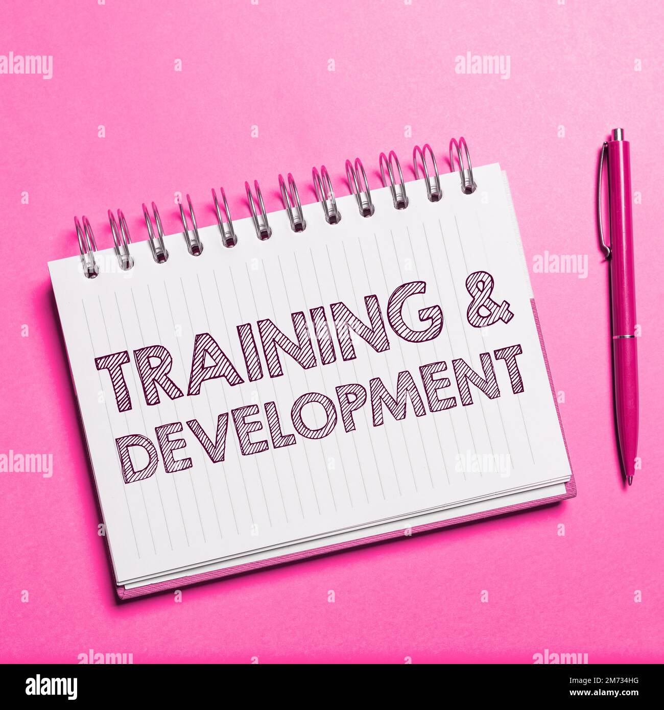 Conceptual display Training Development. Concept meaning Organize ...