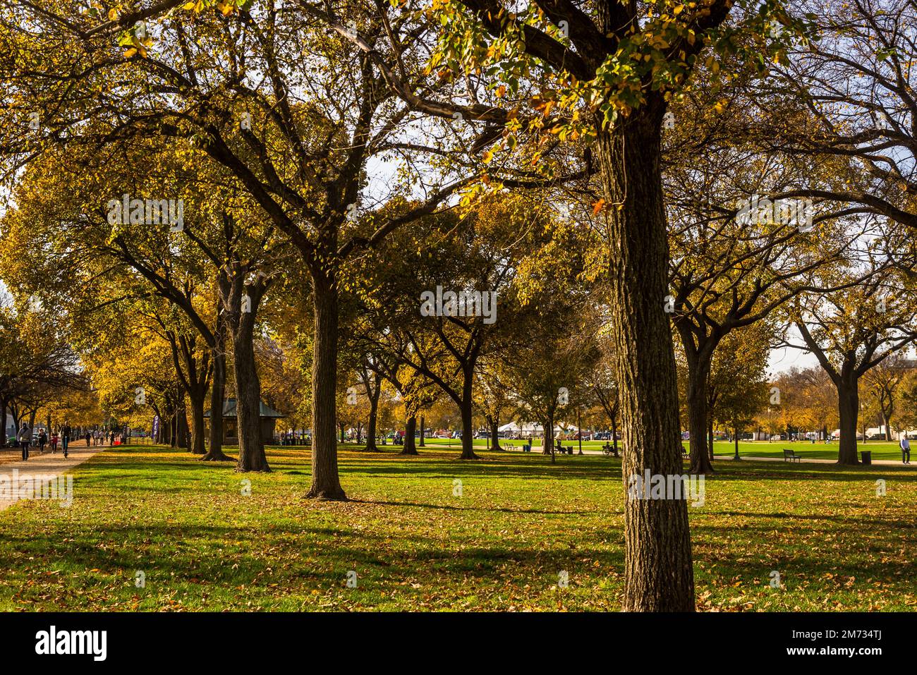 National Mall landscaped park in autumn, Washington, D.C., USA Stock ...