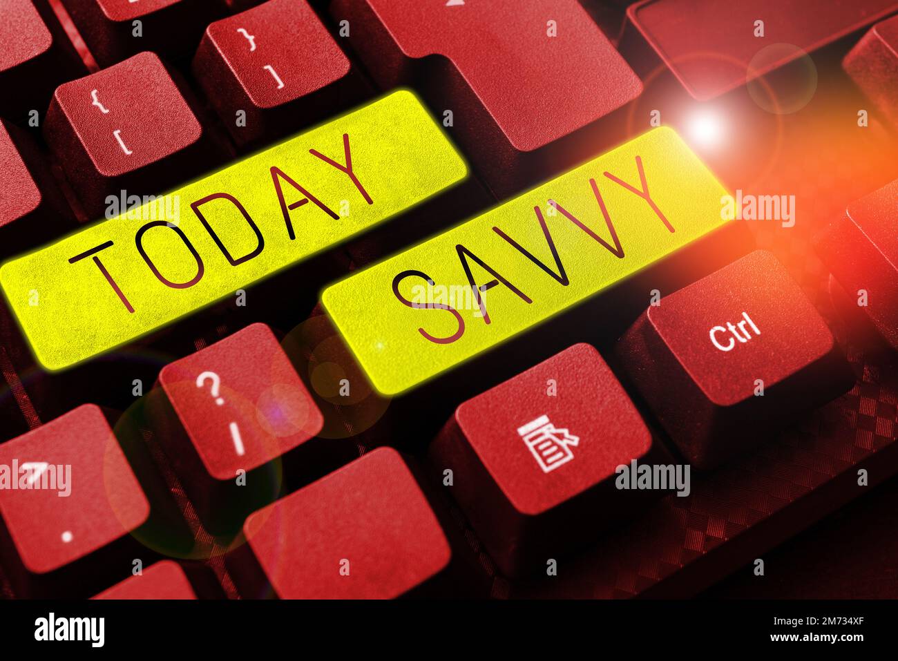 Text caption presenting Savvy. Word for having perception ...