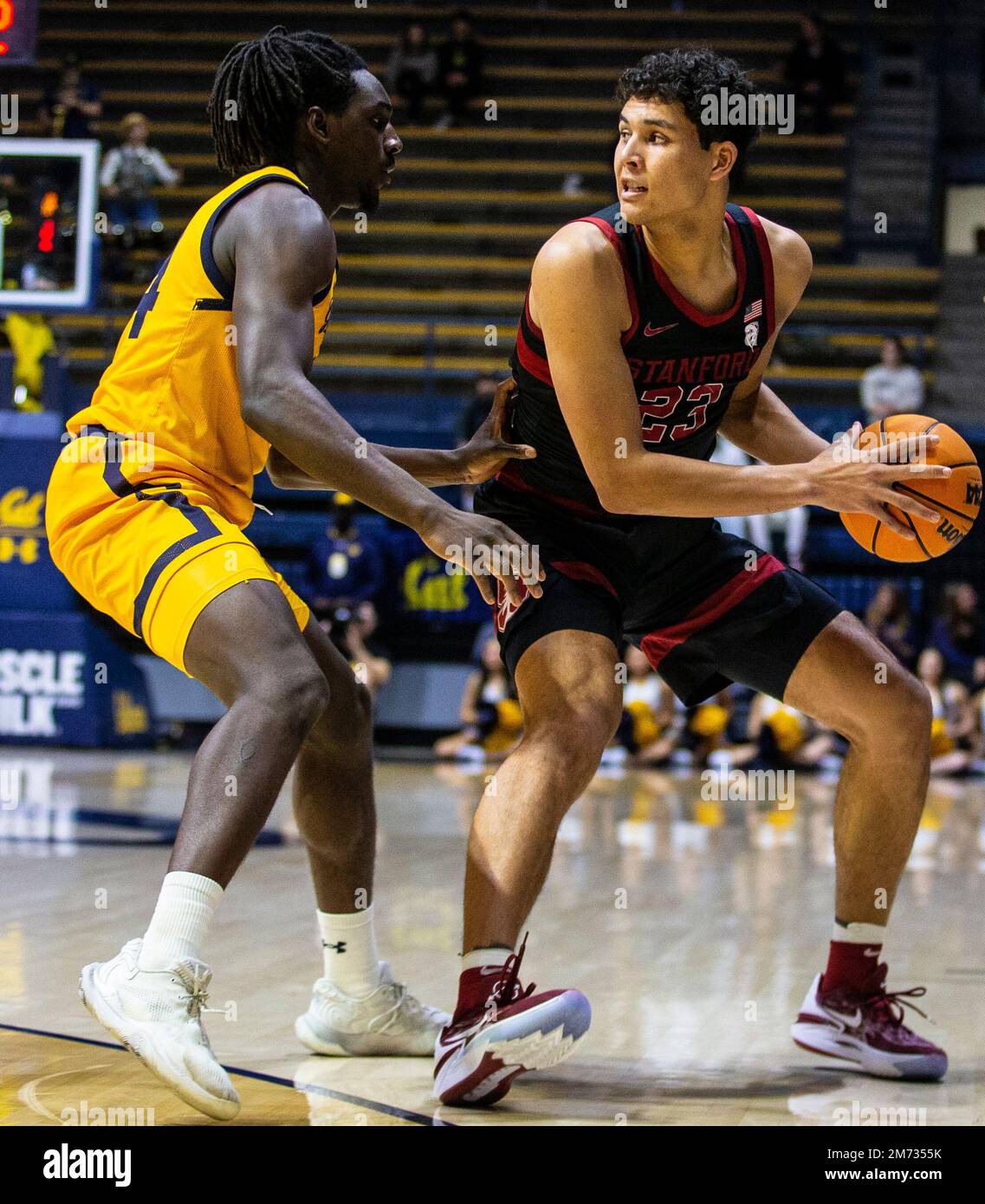 2023 0004 jpg hi-res stock photography and images - Alamy