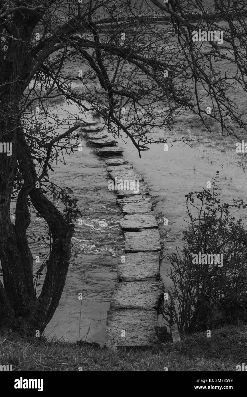 Stepping stones water Black and White Stock Photos & Images - Alamy
